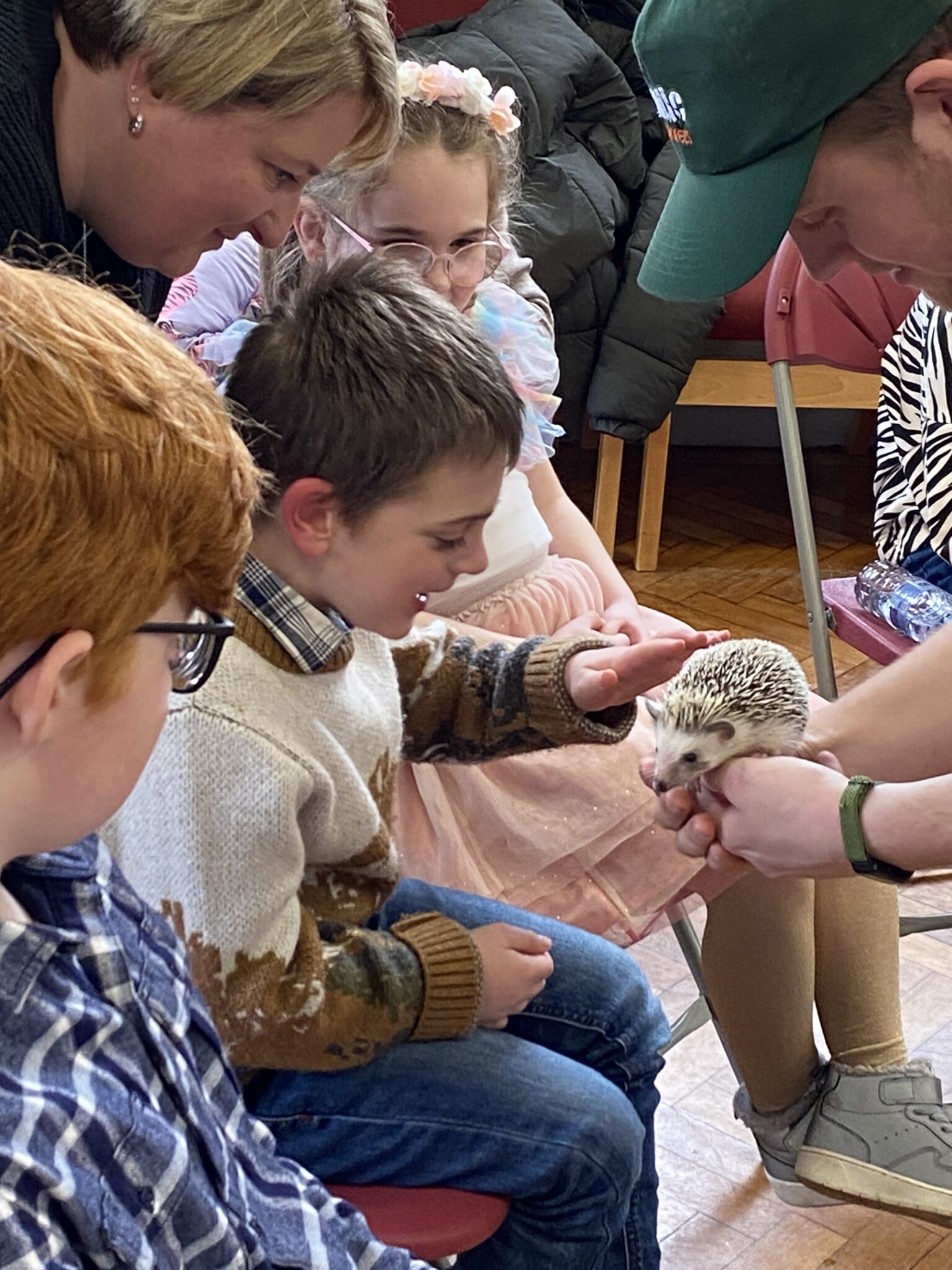 Charity organises half term animal fun - Southend in Sight